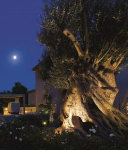 Exterior Lighting – How to Enhance Outdoor Settings and Paint with ...